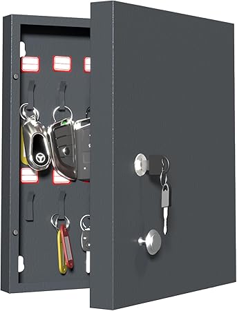 Amazon.com: winiowa 24-Key Lock Cabinet, Metal Security Key Box ...
