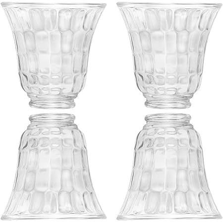 Anmire 2 Pack Clear Frosted Flower Glass Shade, Bell Shaped Light ...