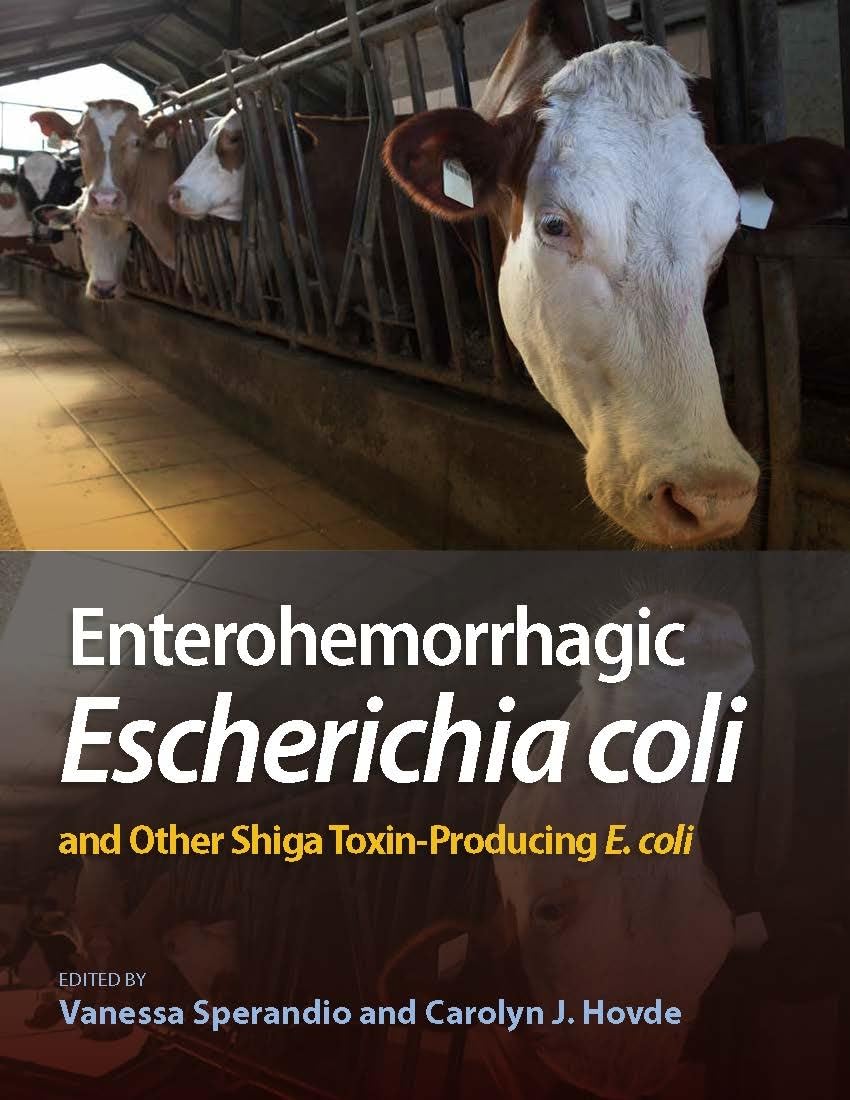 Enterohemorrhagic Escherichia Coli and Other Shiga Toxin-Producing E ...