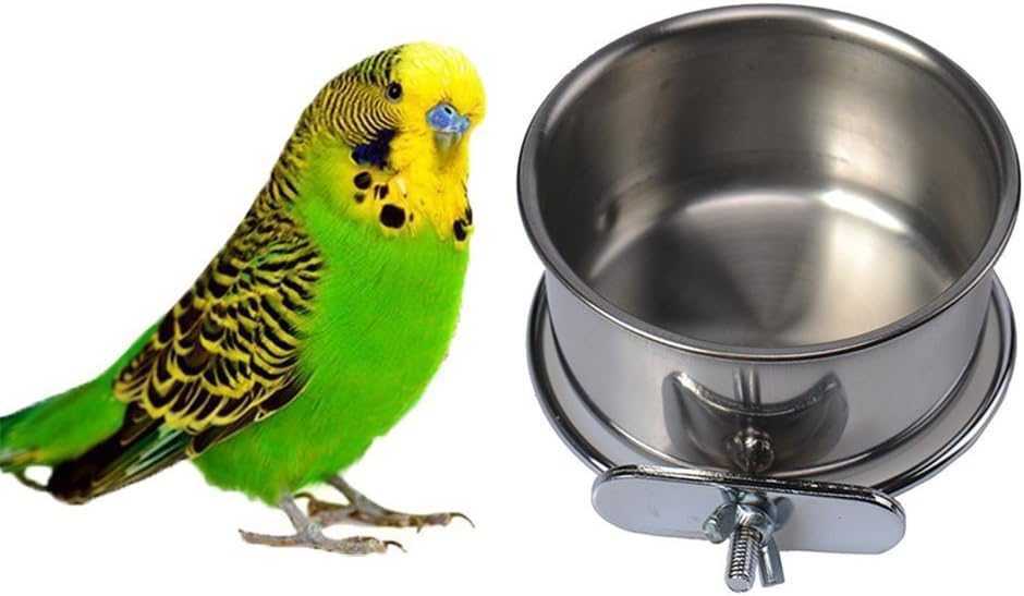 Amazon.com : Pet Bird Food Feeding and Drinking Hanging Cup Clamp ...