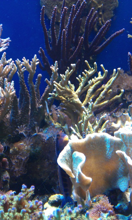 Amazon.com: Michael Krause: books, biography, latest update