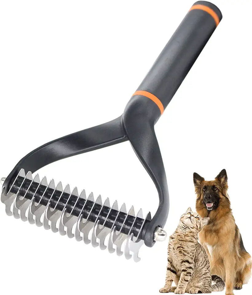 Black Cat's Grey Undercoat: A Unique Fur Pattern | PetShun