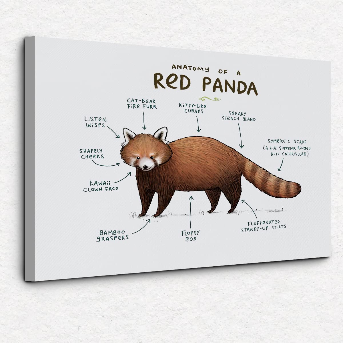 Amazon.com: Nogrit Red Panda Wall Art, Red Panda Poster, Red Panda ...