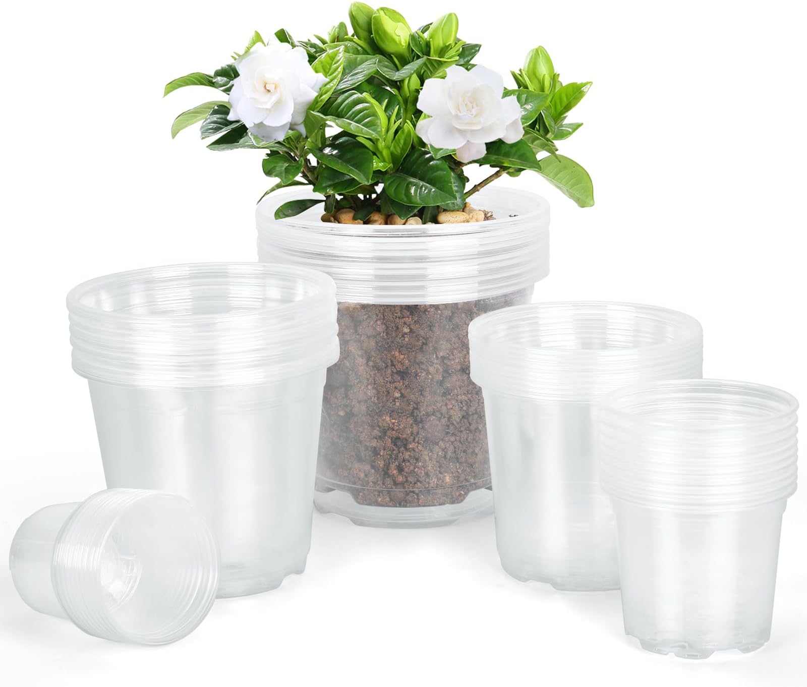 Amazon.com: YinWeiyou Transparent Plants Nursery pots with Tray 4/5/6/7 ...