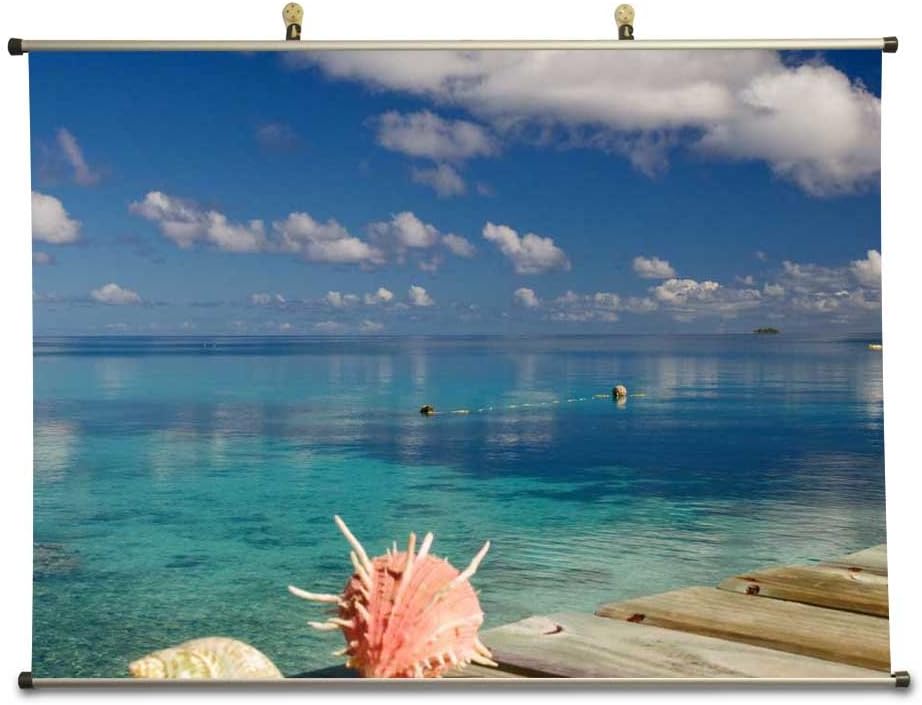Amazon.com: Fakarava Island - French Polynesia - sea shells by clear ...