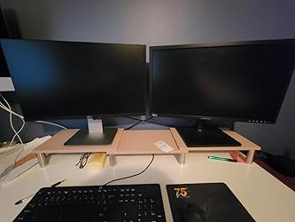 Amazon.com: AX WABER Dual Monitor Stand Riser, Monitor Stand with ...