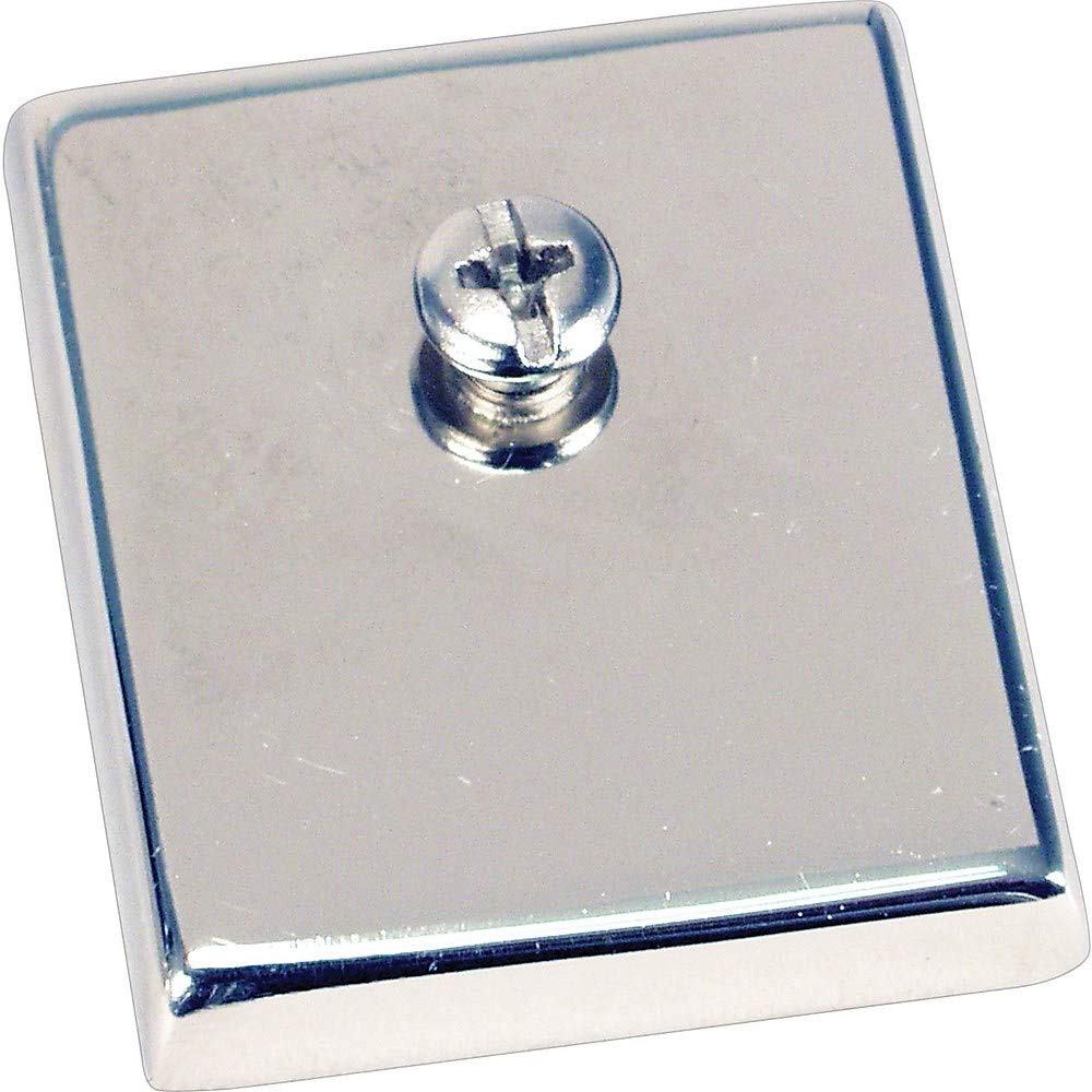 Amazon.com: DPS by Staples 342960 Chrome Heavy-Duty Magnets 2-Inch x 2 ...