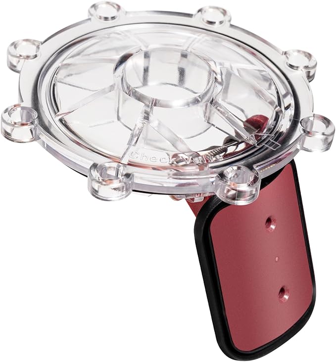 Amazon.com: OAMCE 7056 Pool Check Valve Cover and Spring Flapper ...