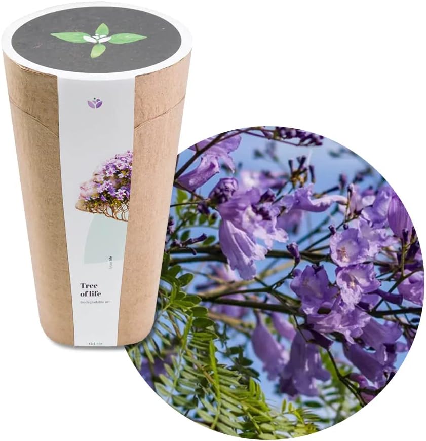 Amazon.com: Tree Urn - Biodegradable urn to Tree - Cremation Ashes Urn ...