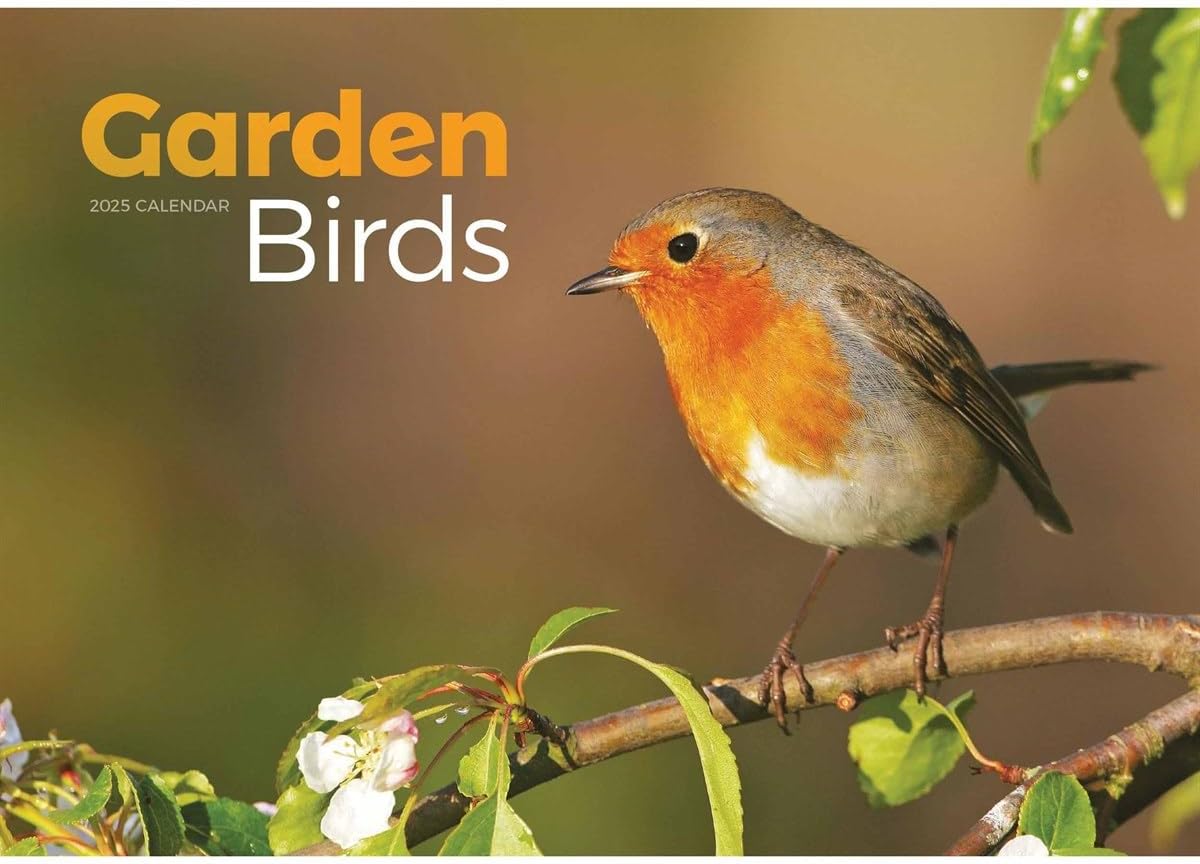 Garden Birds A4 Calendar 2025 (PFP): Wall Calendars: Amazon.com.au