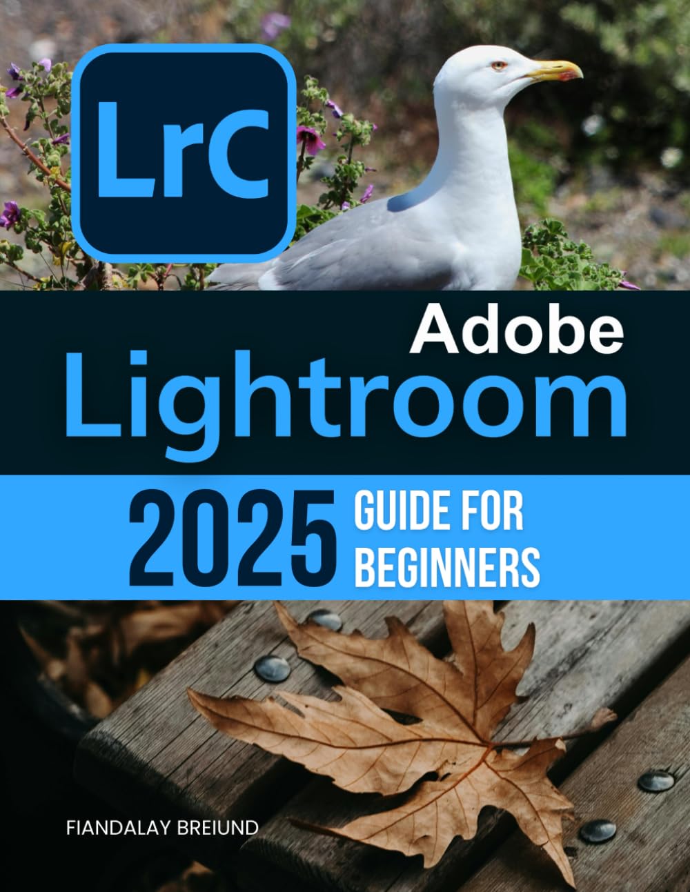 Adobe Lightroom 2025 Guide For Beginners: The Complete Beginner's Guide ...