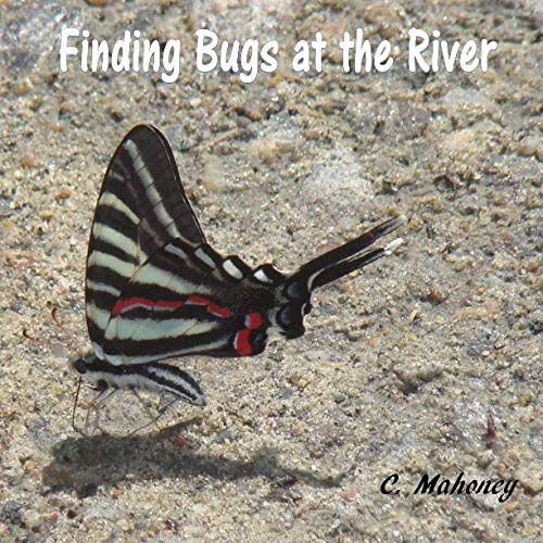 Finding Bugs at the River: A Book of Insects, Spiders and Reptiles ...