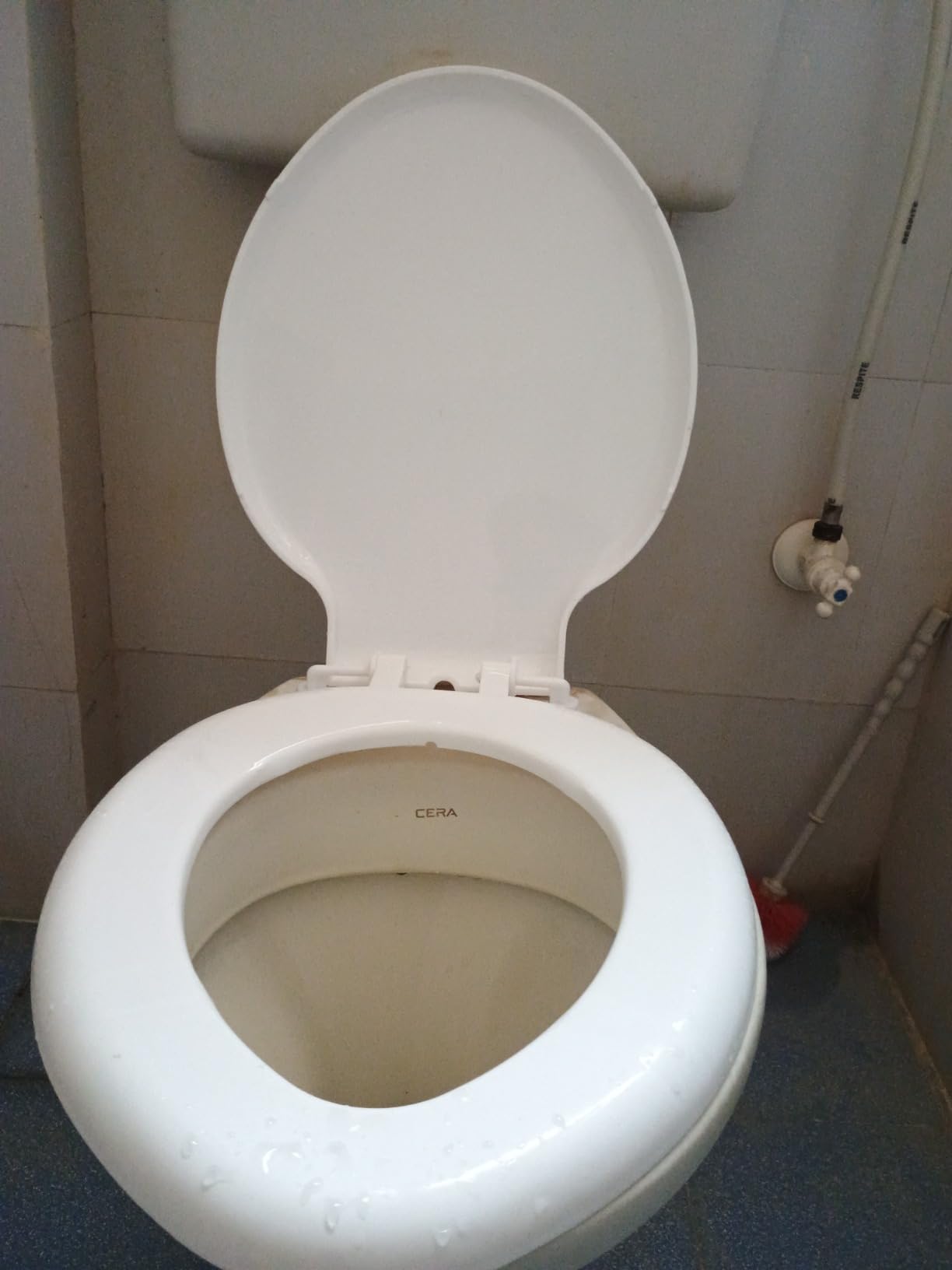 Crotomak® European Round Shaped Commode Polypropylene Plastic Royal ...