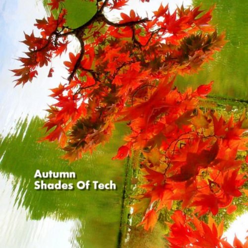 Amazon.com: Autumn Shades of Tech : VARIOUS ARTISTS: Digital Music