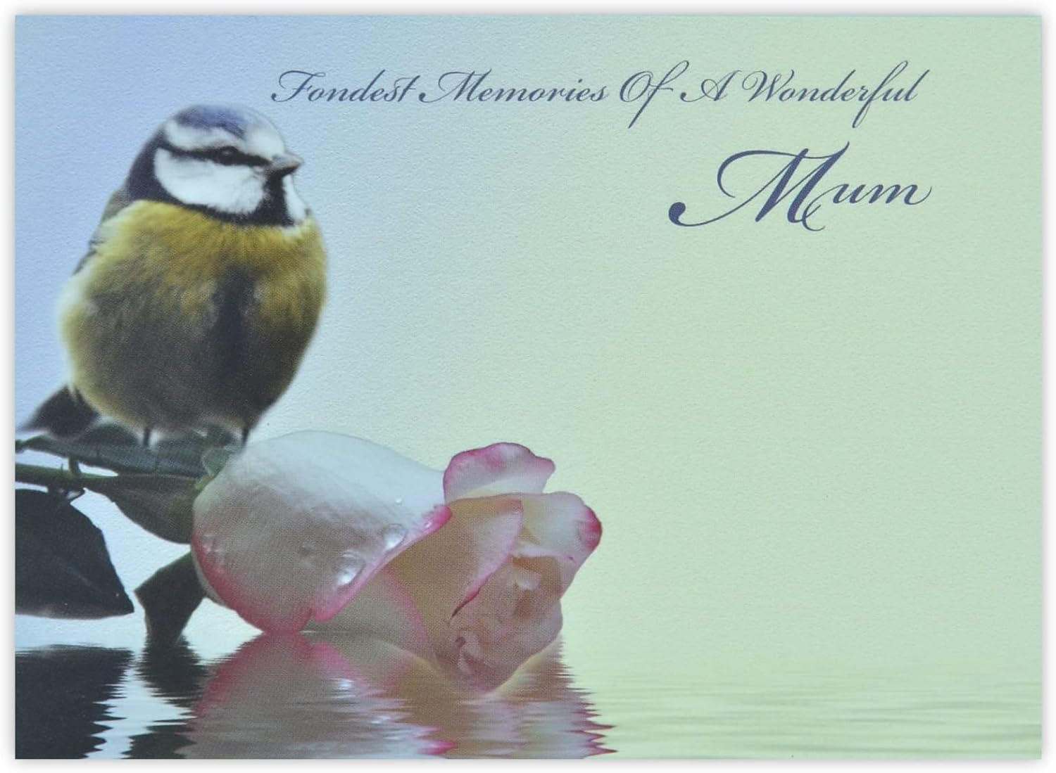 celloexpress Fondest Memories Mum (Blue Tit & Rose) Flower Message ...