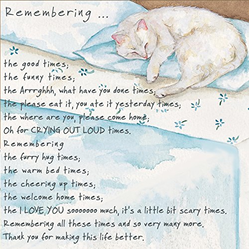 Loss of a Pet CAT Condolence Sympathy Card - Remembering the Good Times ...