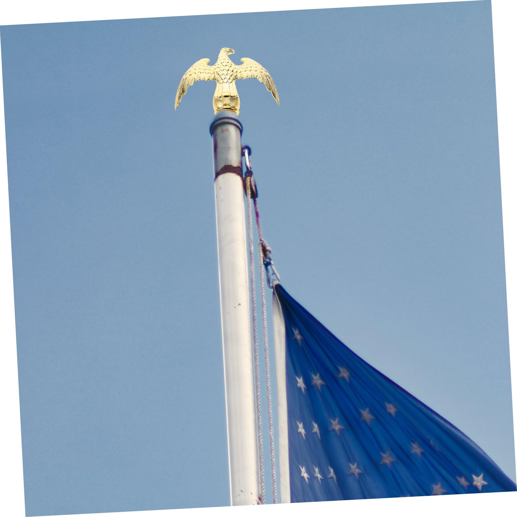 Eagle Carries Flag Pole Graphic Yescom 2 Pack 6 Ft Sectional Indoor