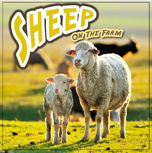 Sheep On The Farm (Farm Animals): Mattern, Joanne: 9781615905072 ...