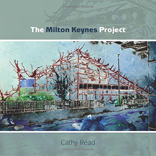 Buy The Milton Keynes Project Book Online at Low Prices in India | The ...