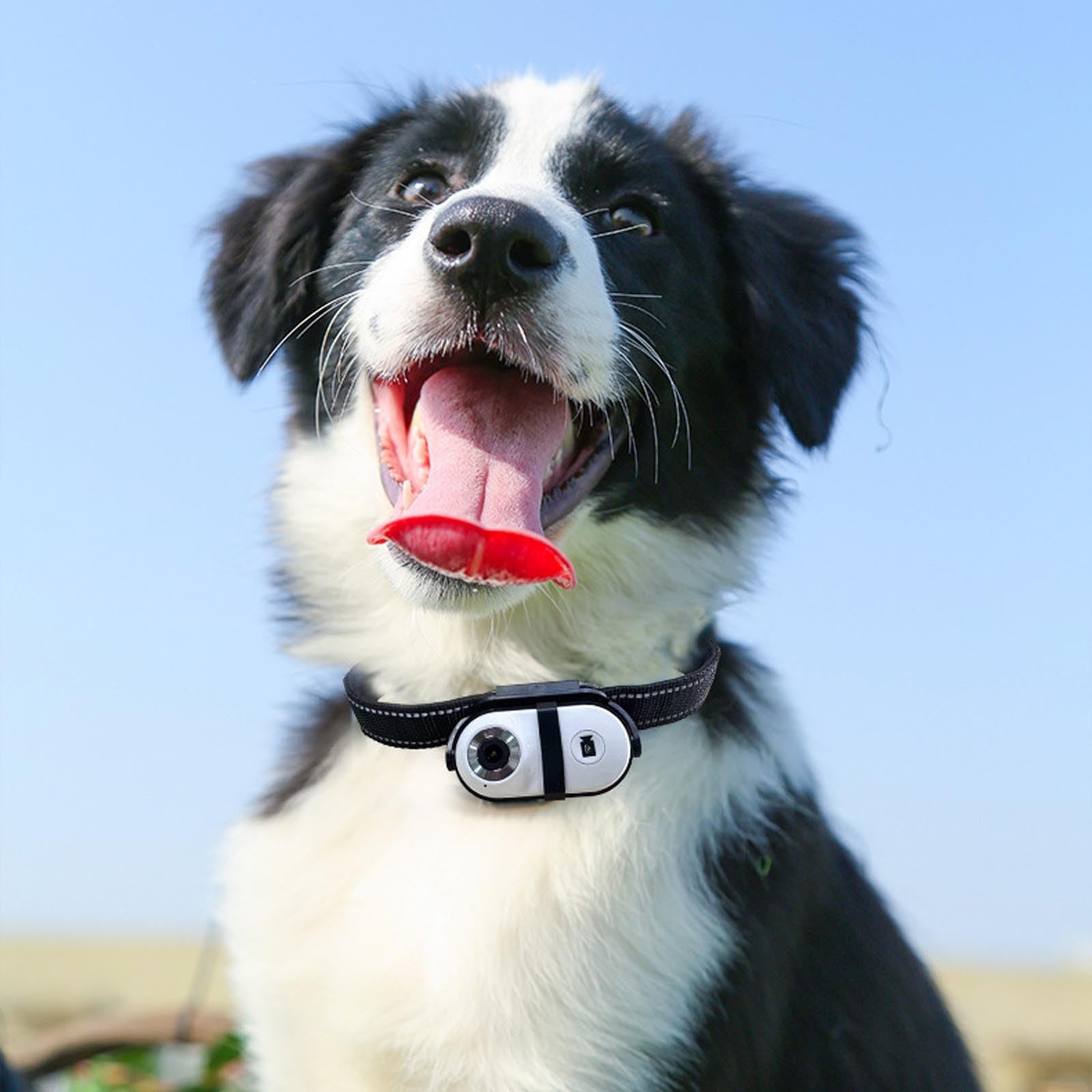 Cat Collar Camera, 1080P HD Dog Tracker Collar, Mini Action Camera For ...