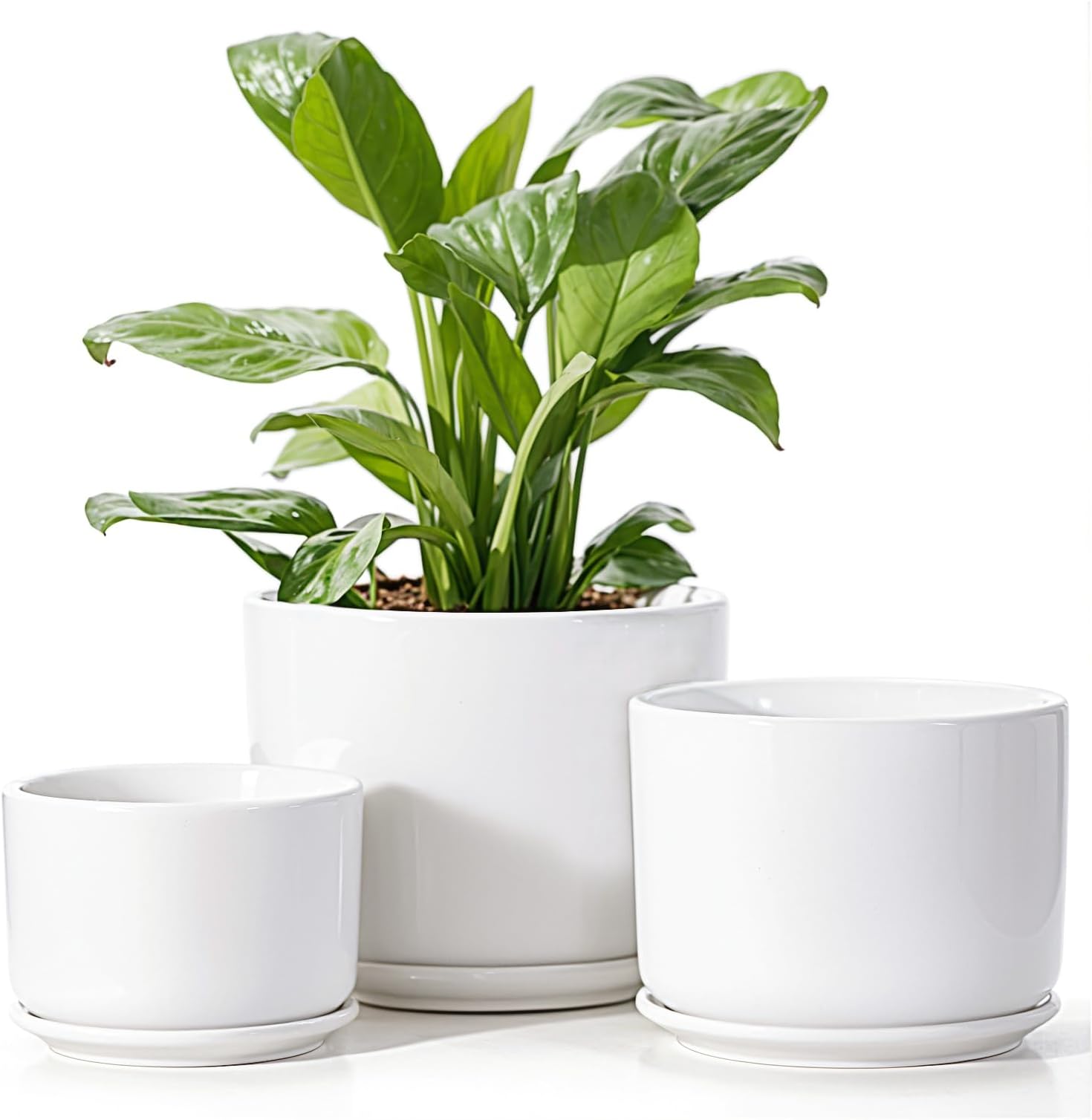 Amazon.com: YINGERHUAN Set of 3 Ceramic Plant Pot - Flower Plant Pots ...