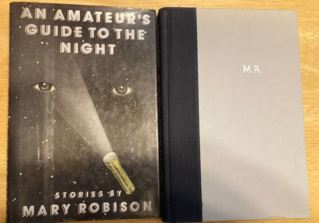 An Amateur's Guide to Night: Robison, Mary: 9780394522678: Amazon.com ...