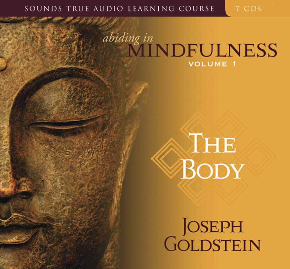Abiding in Mindfulness: Goldstein, Joseph: 9781591795698: Amazon.com: Books