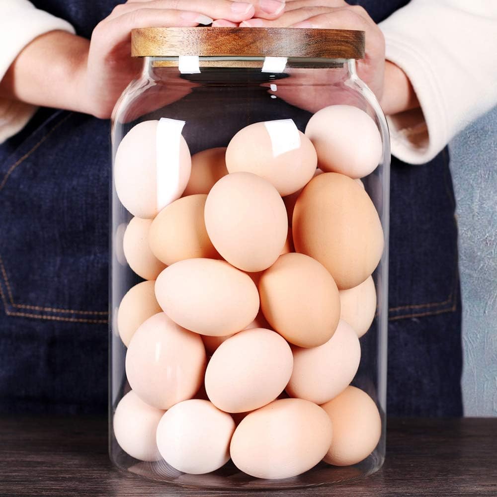 Amazon.com: Daitouge Large Storage Glass Jars with Metal Lids, 5.5 ...