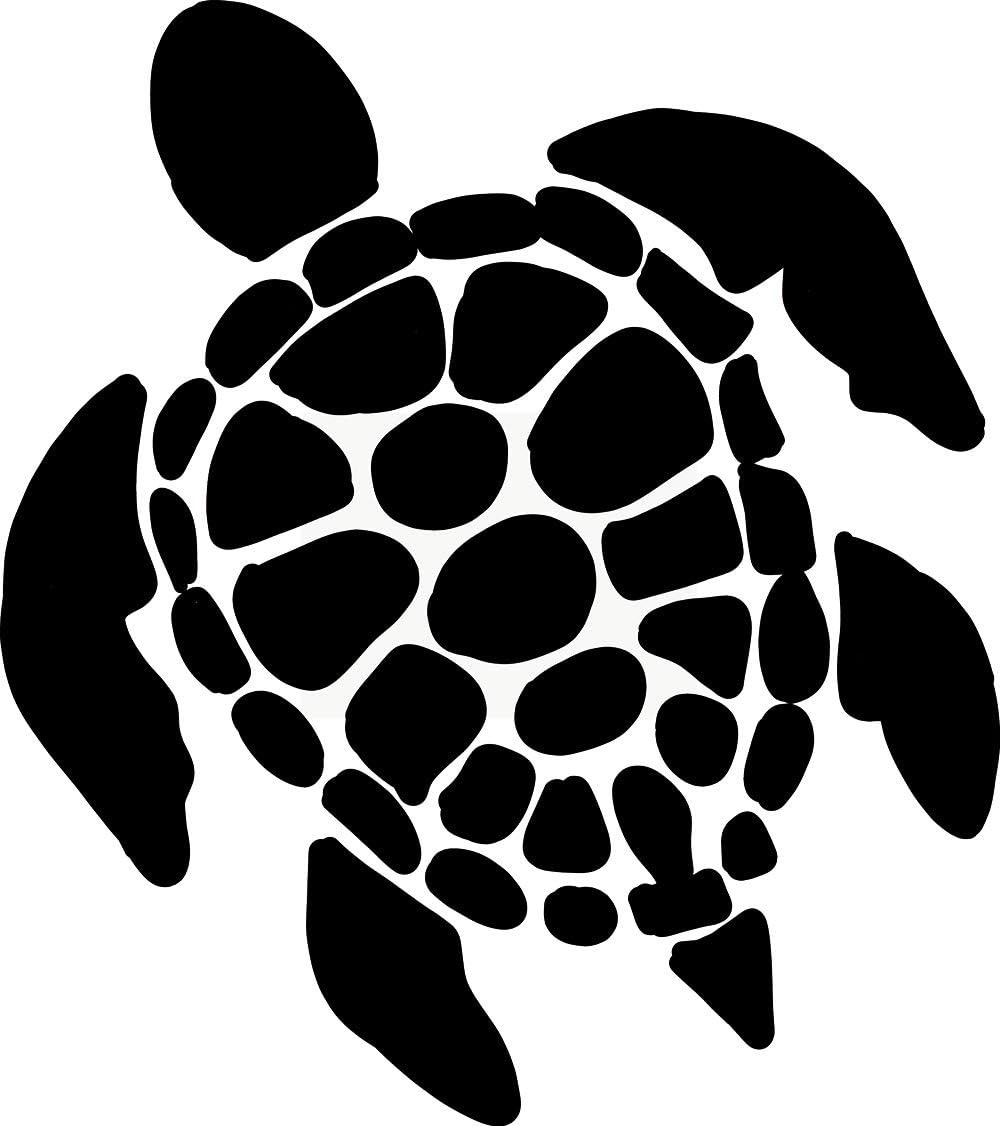 Amazon.com: hBARSCI Sea Turtle Vinyl Decal - 8 Inches - for Cars ...