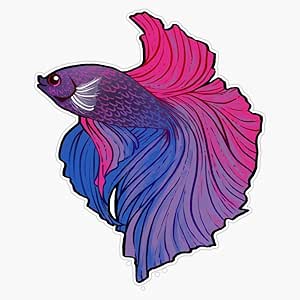 Amazon.com - Bi Pride Betta Fish Bumper Sticker Vinyl Decal 5"