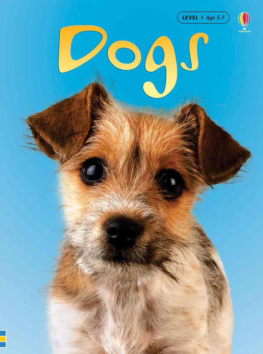 Amazon.com: Dogs (Usborne Beginners: Information For Young Readers ...