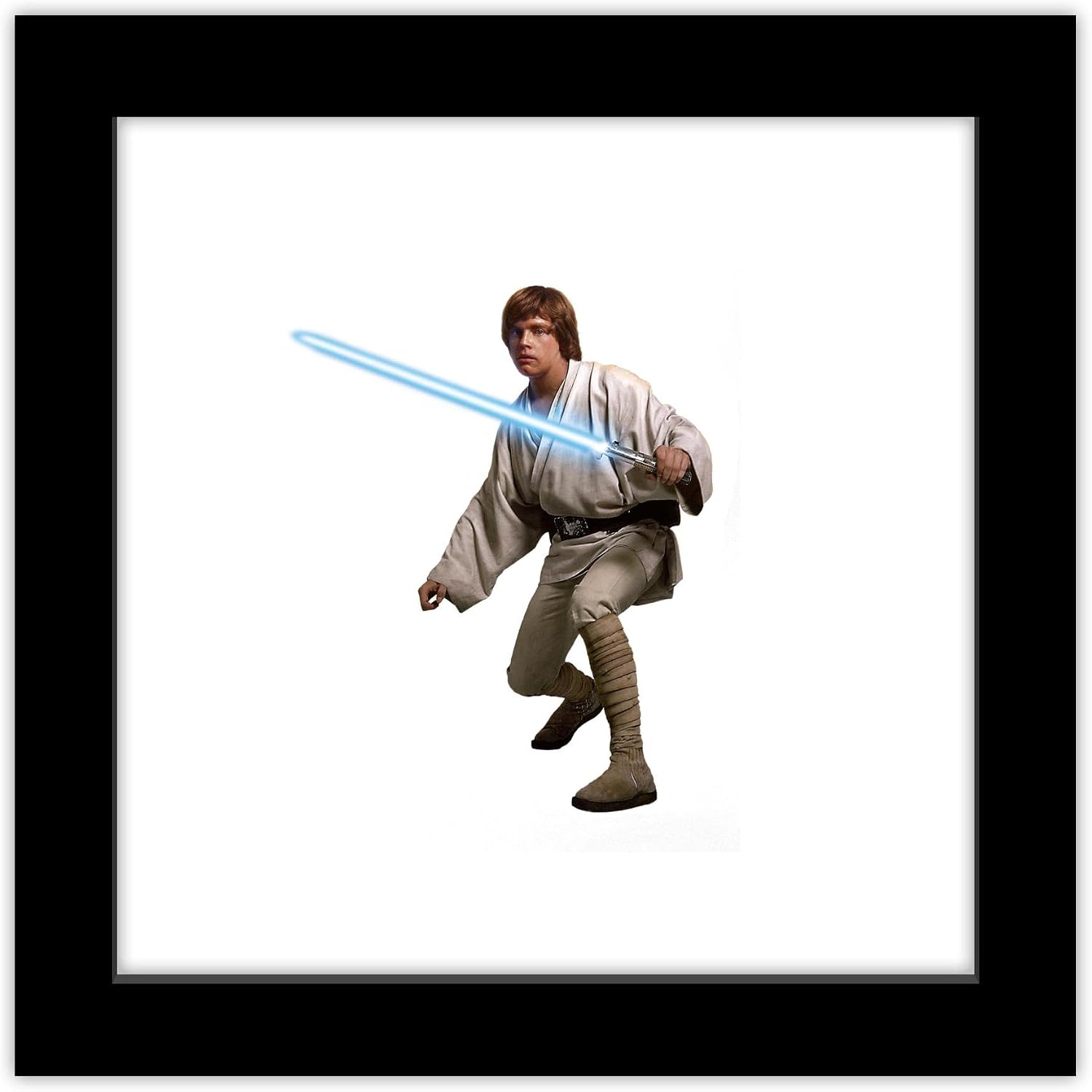 Amazon.com: Trends International Gallery Pops Star Wars: Saga - Luke ...