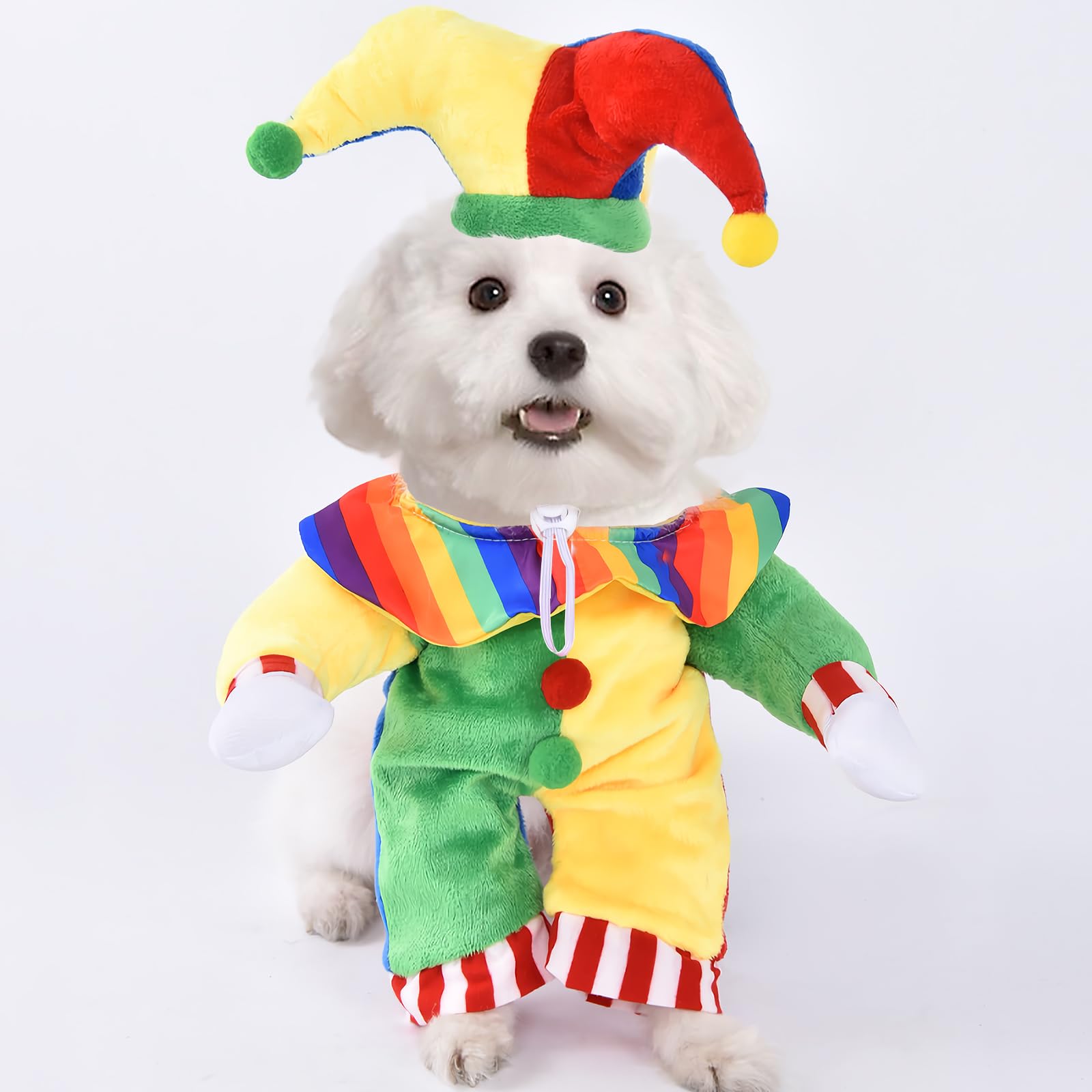 Amazon.com : Dog Clown Costume Halloween Clown Pet Costume Funny Dog ...