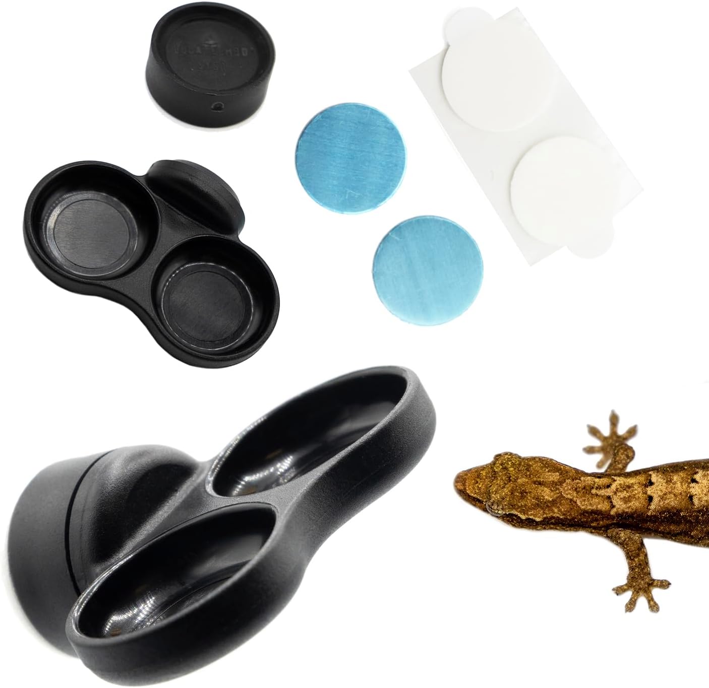 Amazon.com : REPTI ZOO Reptile Gecko Feeder Ledge,2 in 1 Reptile Food ...