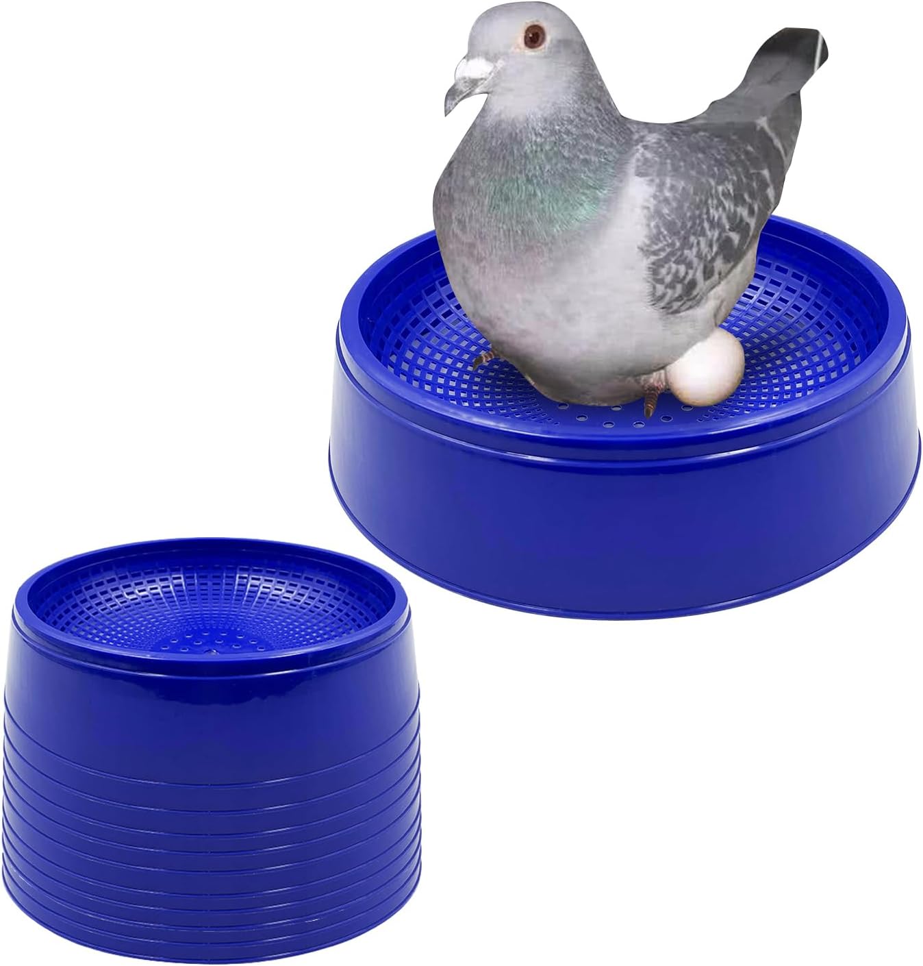 Amazon.com : FULAIERGD Pigeon Supplies Set,3Pcs Bird Breeding Nest Bird ...