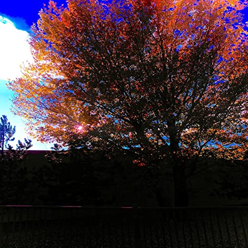 Écouter *Vol 2 par JesseM sur Amazon Music Unlimited