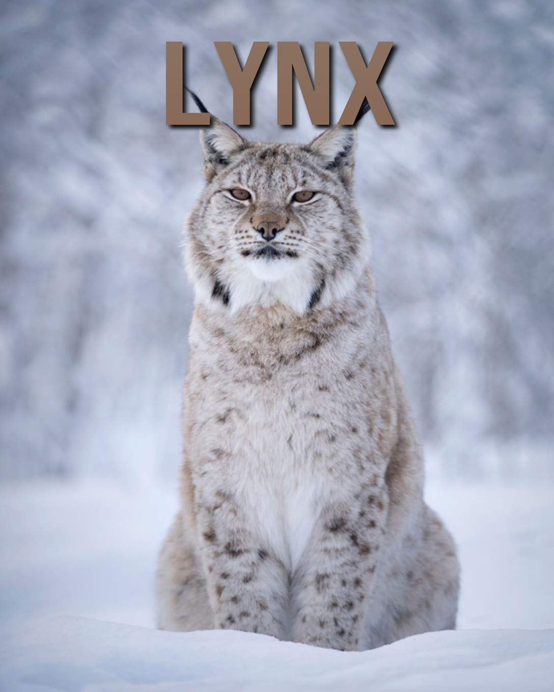 Lynx Amazing Pictures And Fun Facts On Animals In Nature | Desertcart INDIA