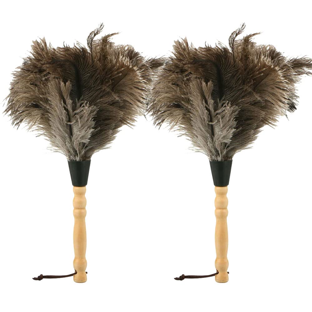 Amazon.com: TEAMWILL 2PACKS 13" Ostrich Feather Duster Durable Dust ...