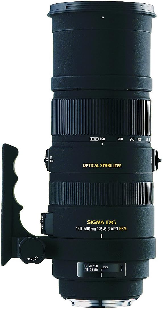 Amazon.com : Sigma 150-500mm f/5-6.3 Auto Focus APO DG OS HSM Telephoto ...