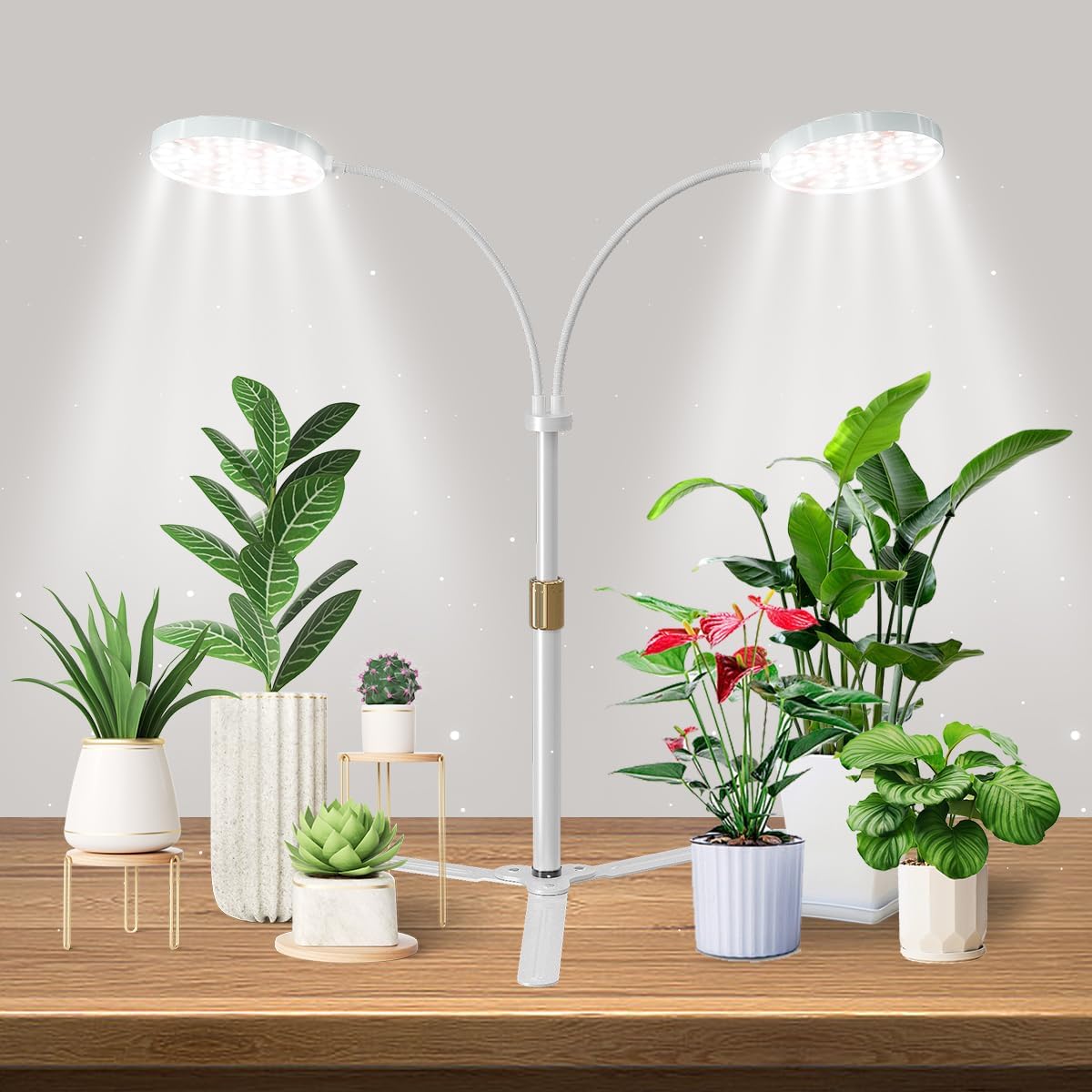 Amazon.com : Grow Light Dual Ring 3.5" with Base, 122 LEDs 6000K White ...