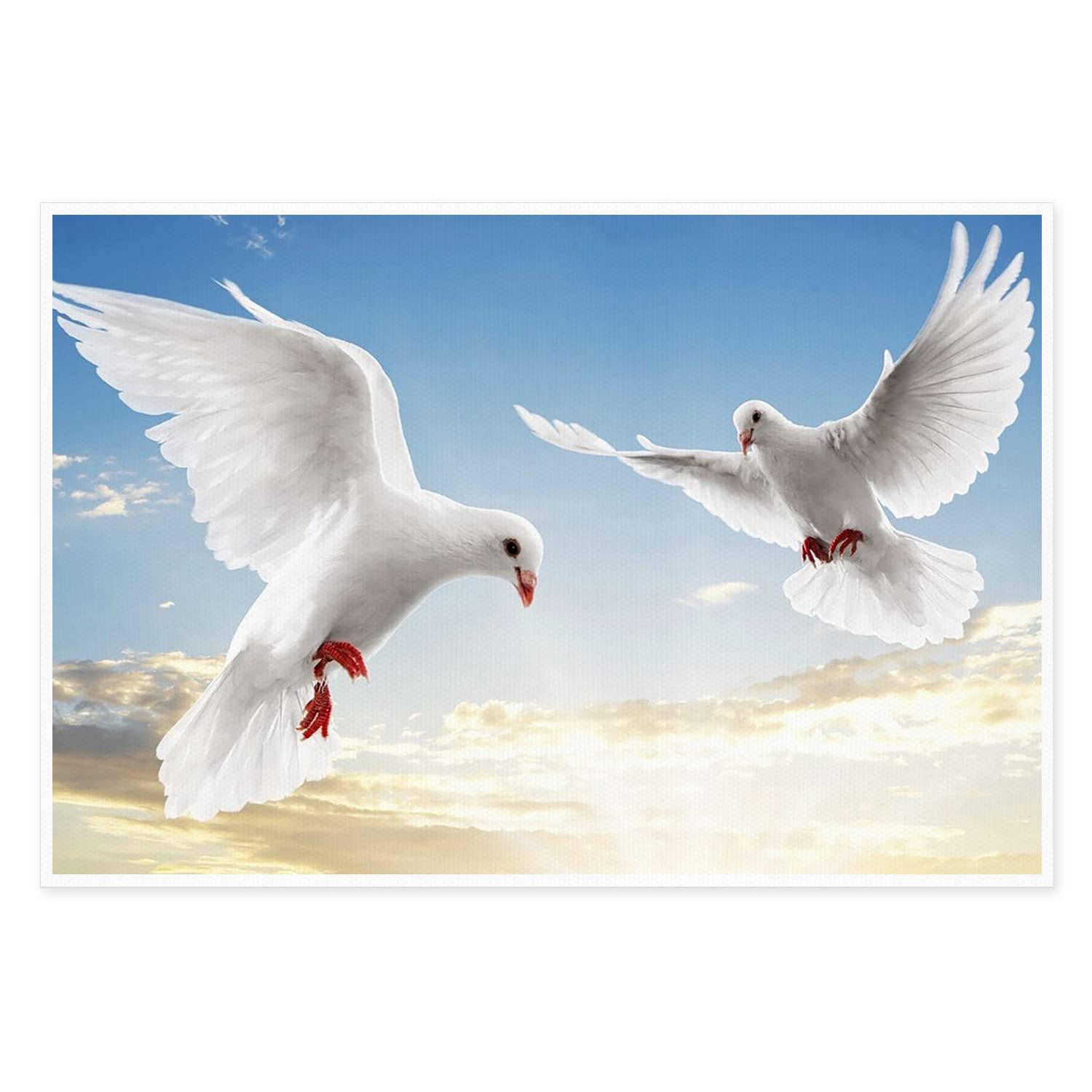 Blue Wedding Doves With Rings