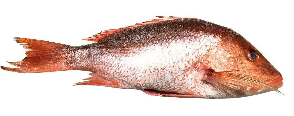 Amazon.com: Monchong Whole : Grocery & Gourmet Food