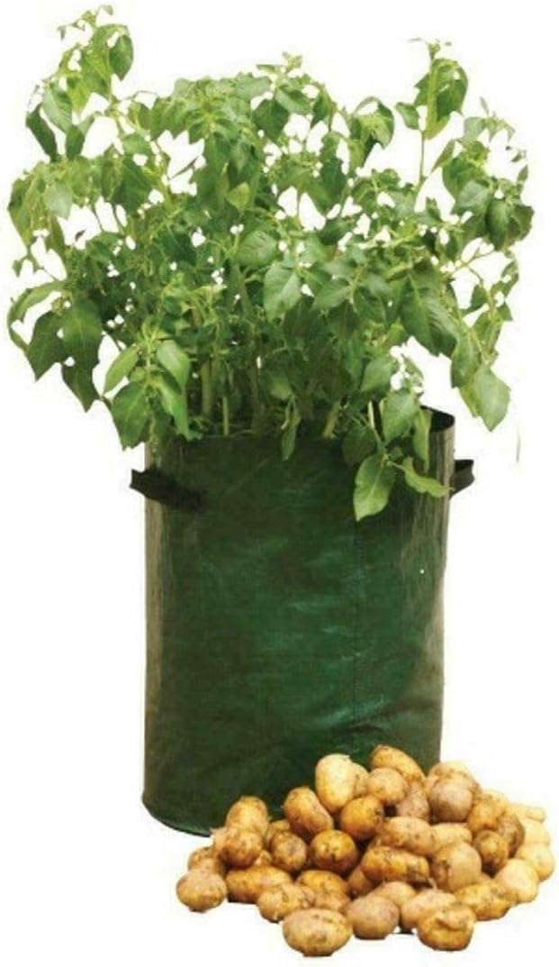 Buystarget Potato Tomato Planter Veg Grow Bag SacPotato Tomato Planter ...