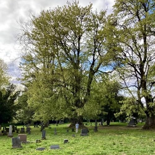 everybody shut up [Explicit] von CHUCKNESSA bei Amazon Music - Amazon.de