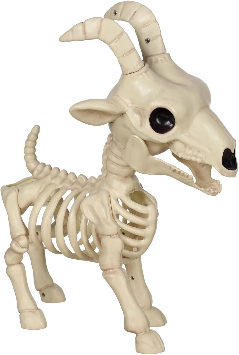 Amazon.com: Seasons Skeleton Pygmy Goat Halloween Decoration for Crazy ...