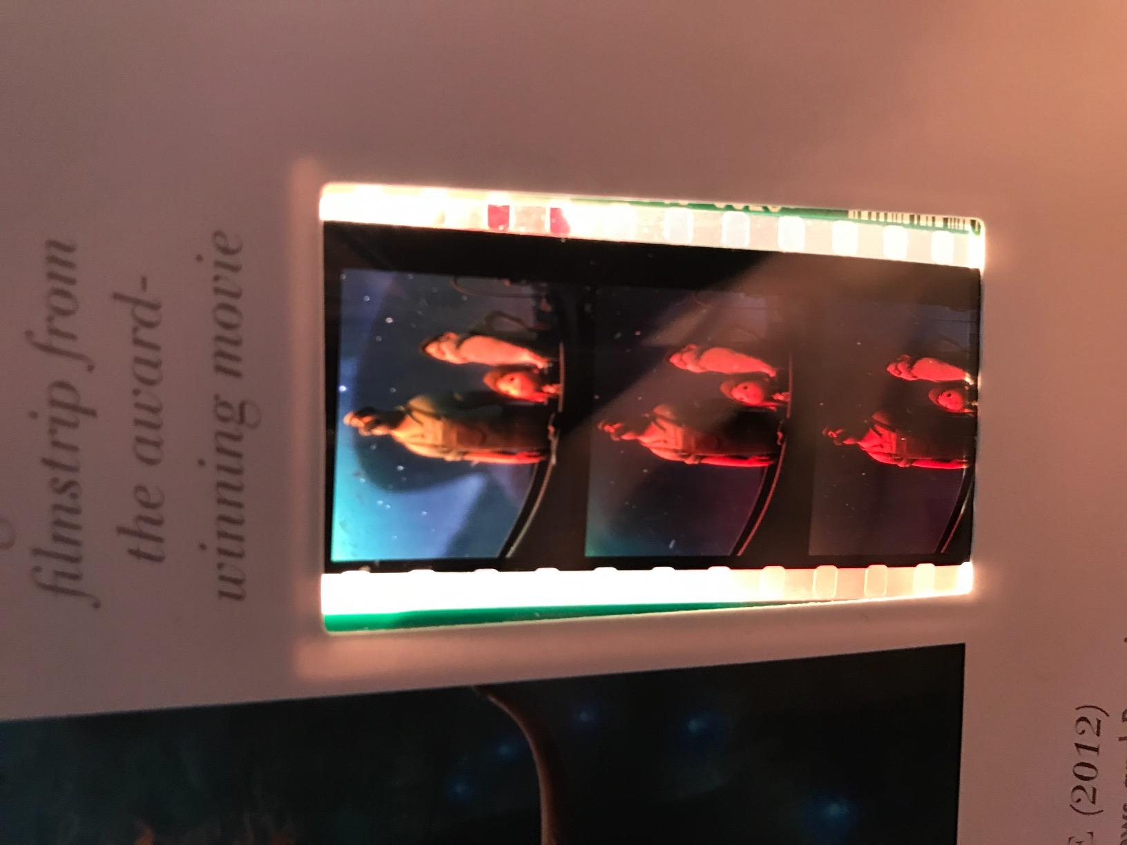 Amazon.com: The Disney Book New Edition: A Celebration of the World of ...