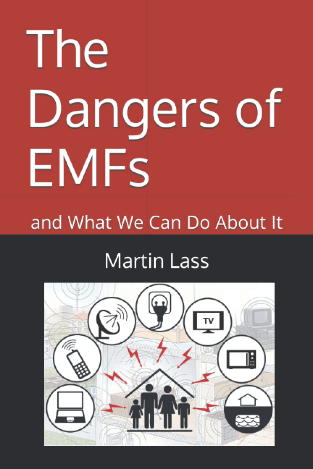 The Dangers of EMFs: and What We Can Do About It: Lass, Martin ...