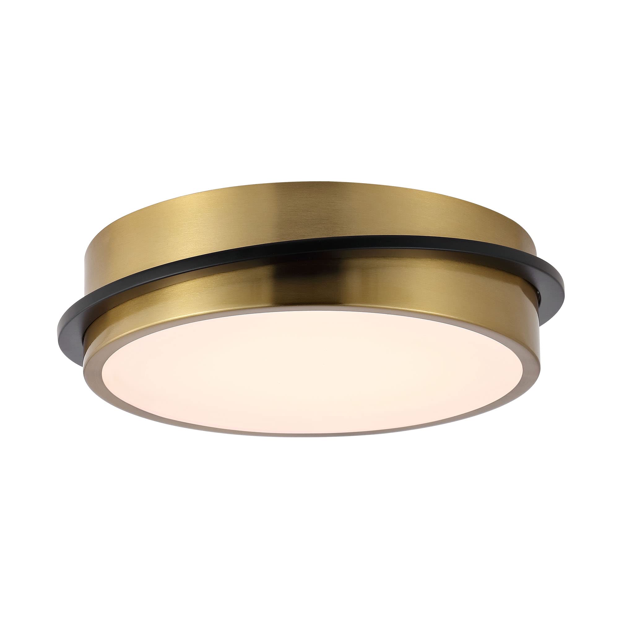 WINGBO Modern Round LED Flush Mount Ceiling Light Fixture with Metal ...