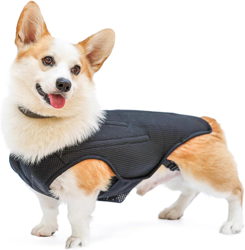 Amazon.com : Dog Back Bracer Polyester Strong Rigidity Flexible Back ...