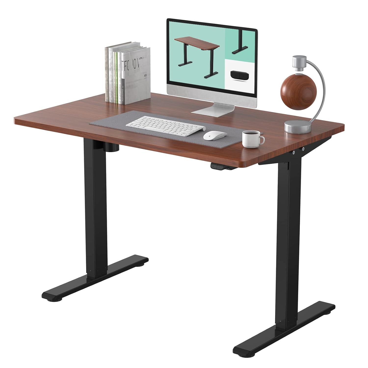 Flexispot Electric Height Adjustable Desk, 48 x 30 Inches, Sit Stand ...